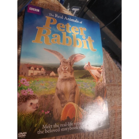 unknown | Media | The Real Animals Of Peter Rabbit Dvd 28 Brand New ...